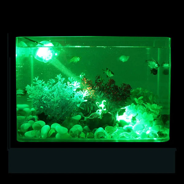 AQUA ACCESSORIES – Aqua Layouts