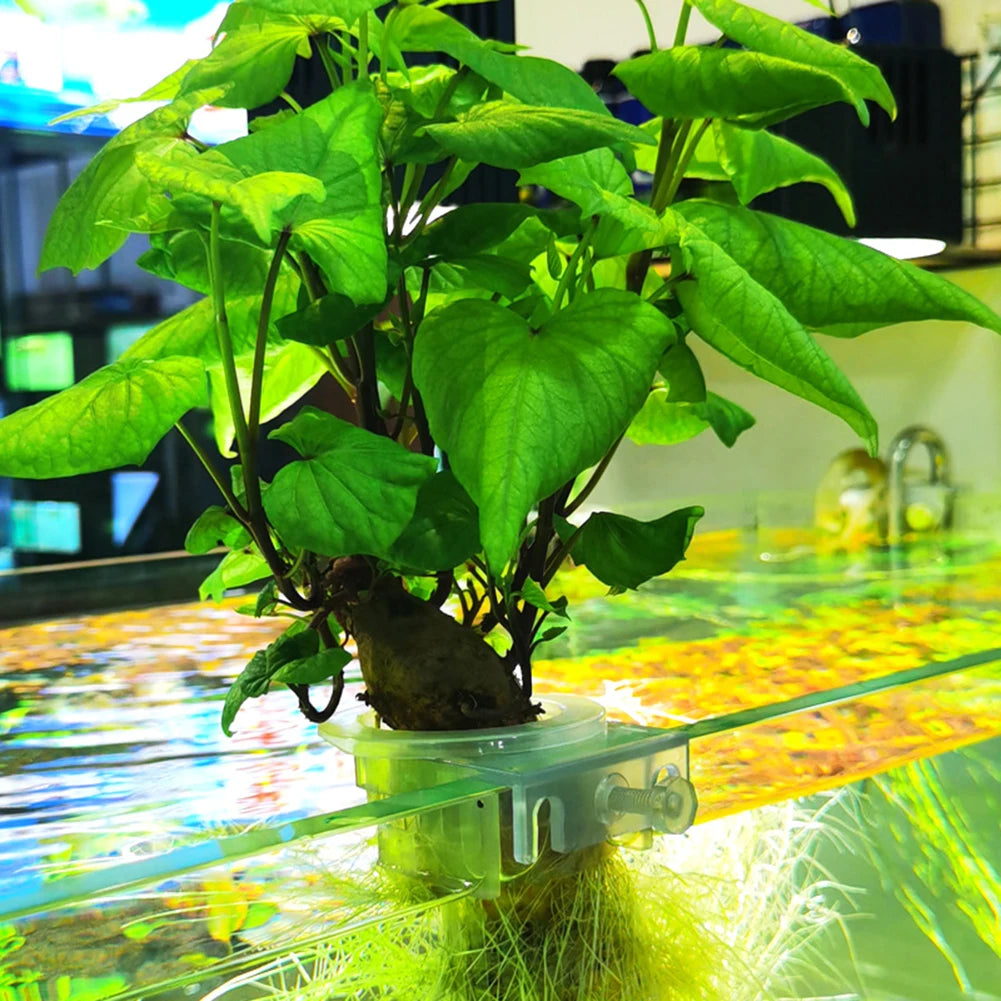 2Pcs Hanging Aquarium Plant – Aqua Layouts