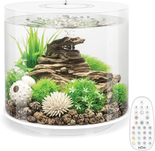 AQUARIUM – Aqua Layouts