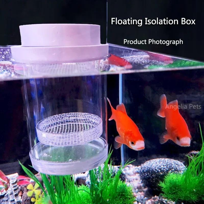 Isolation box – Aqua Layouts