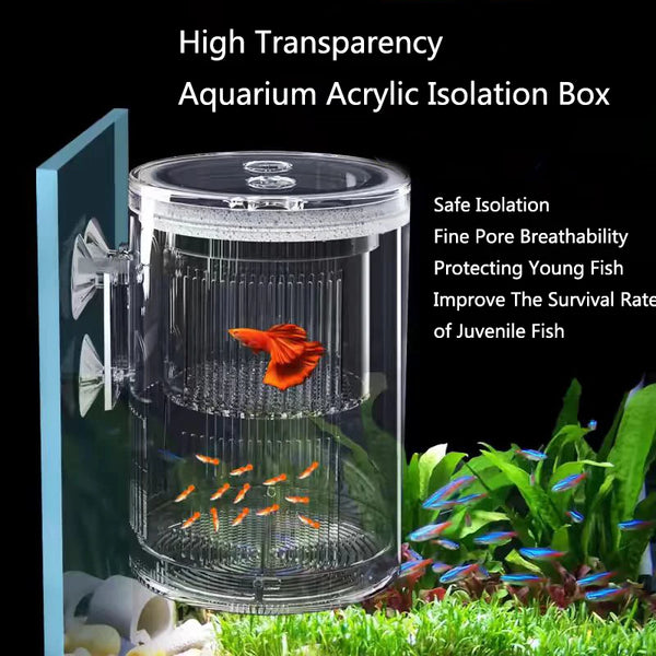 Hanging Isolation Box Good – Aqua Layouts